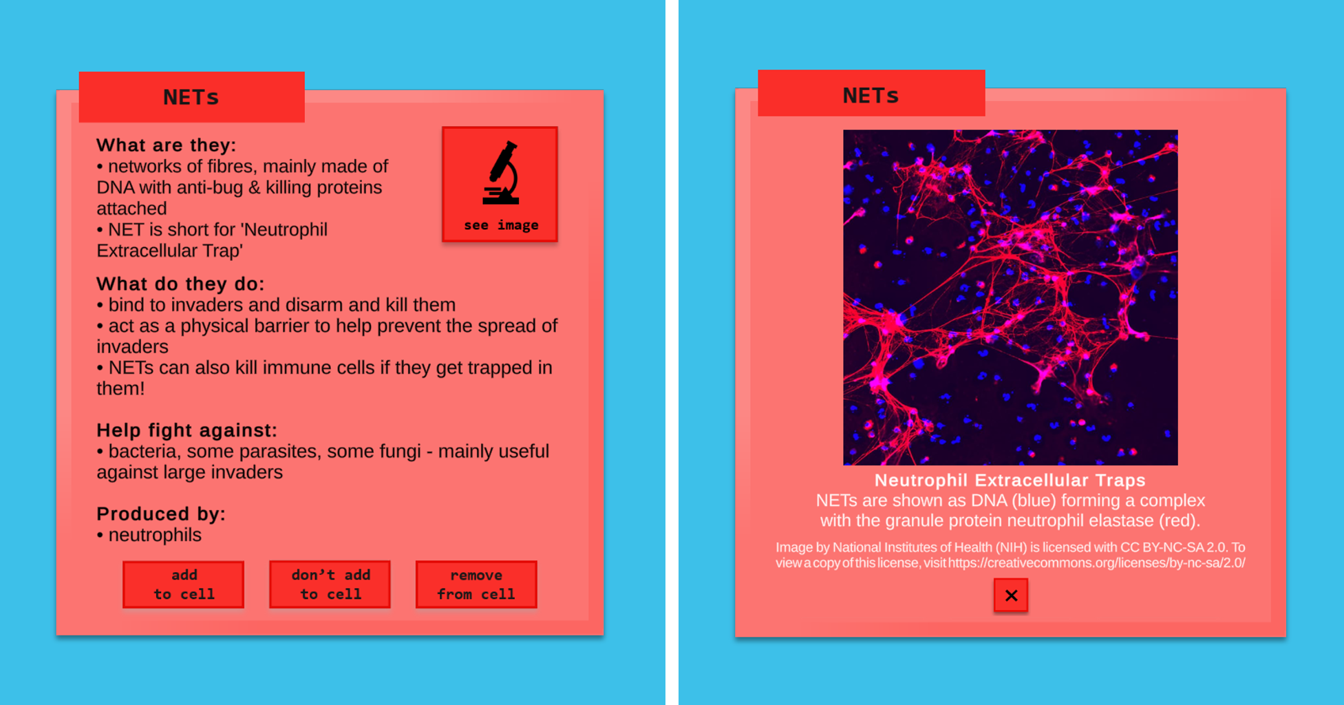 SuperCell Creator – GSA Postgrad Showcase 2021